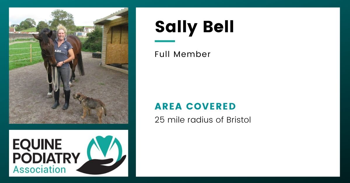 Sally Bell's Instagram, Twitter & Facebook on IDCrawl