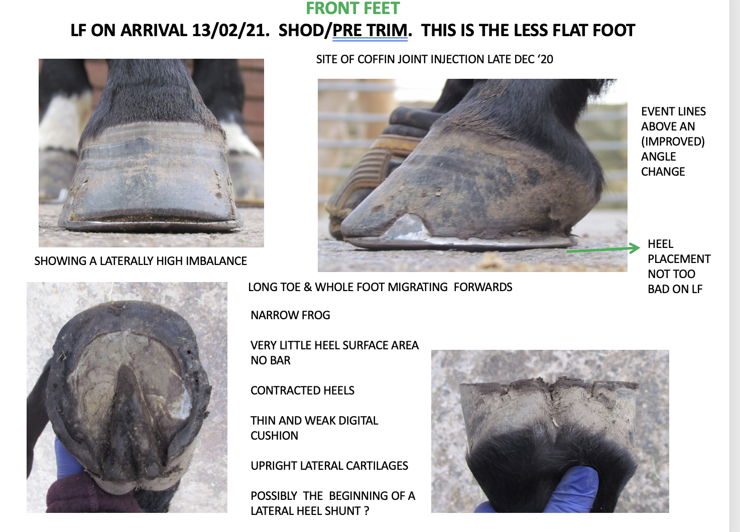 Navicular and hi – low syndrome – The Equine Podiatry Association
