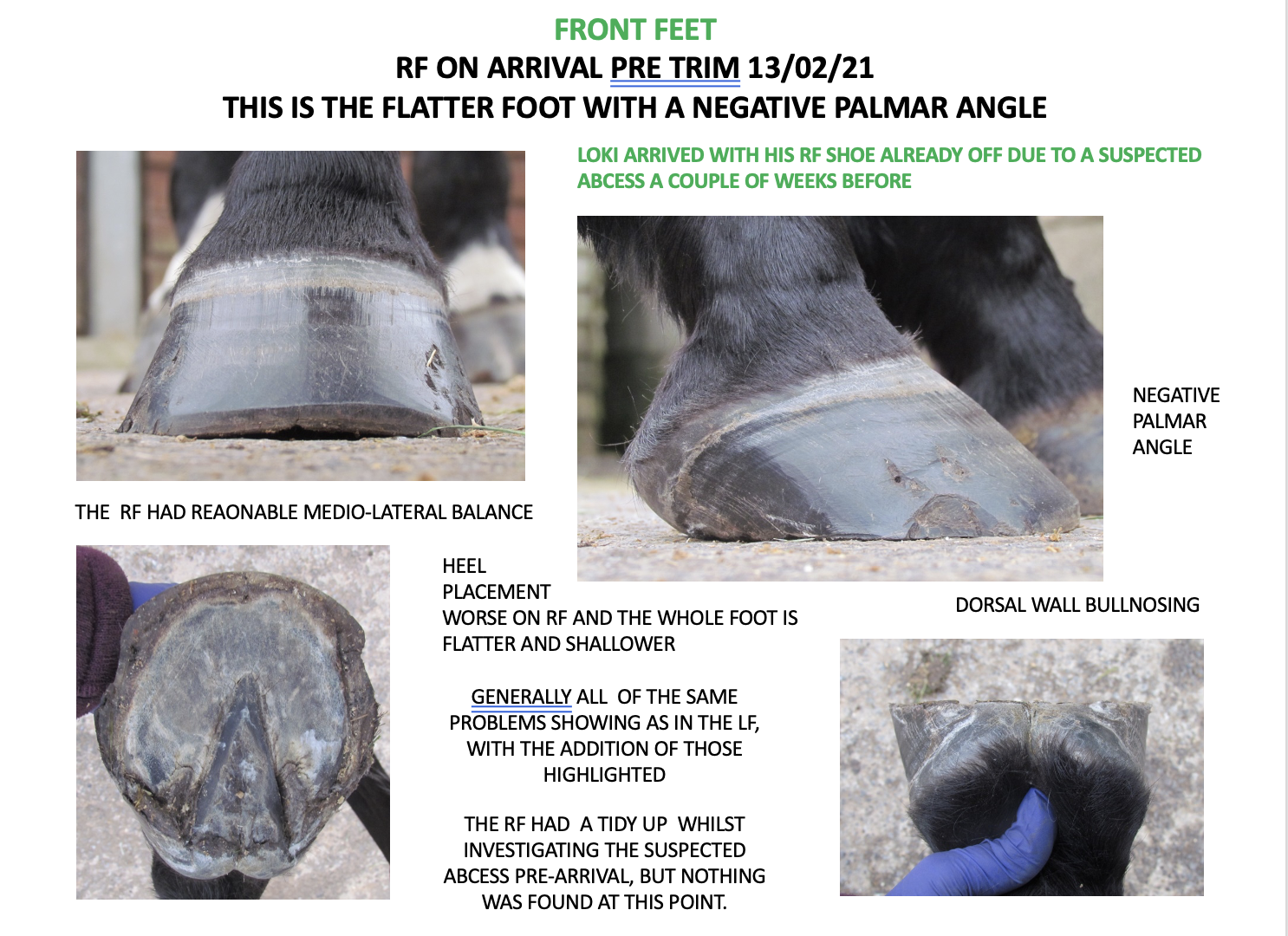 Navicular and hi – low syndrome – The Equine Podiatry Association